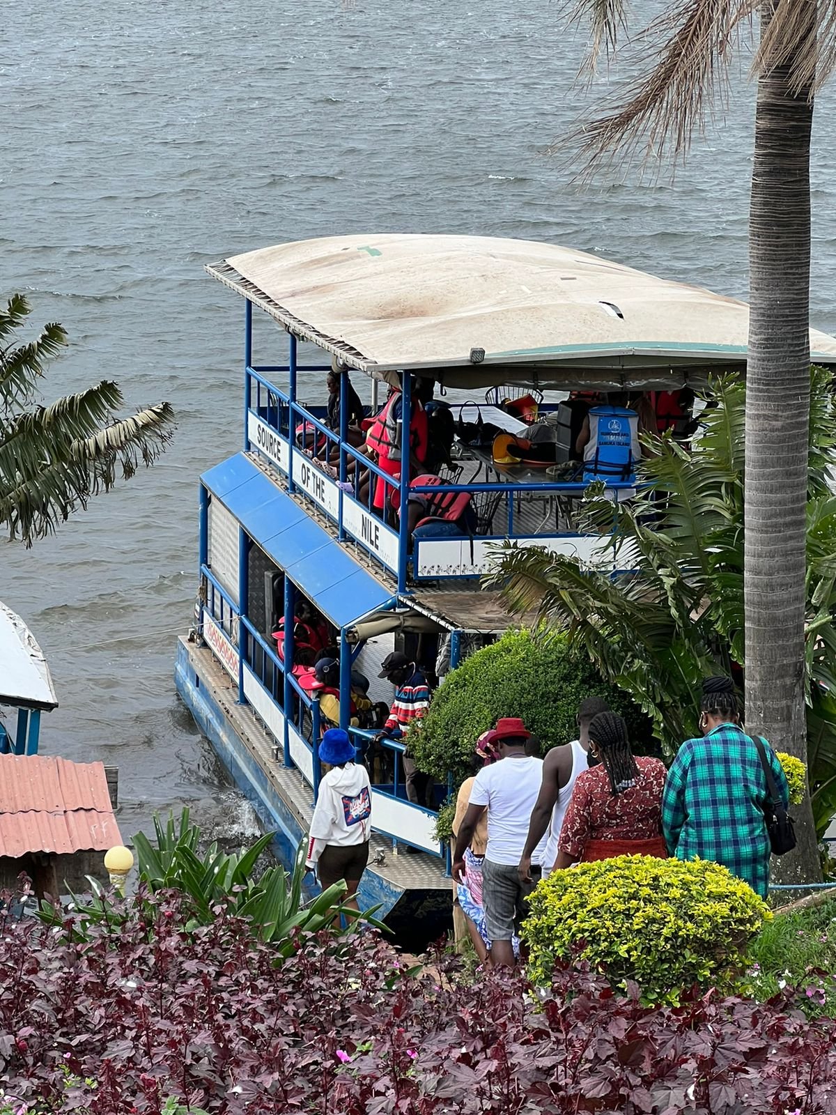 Uganda bird life Archives - Samuka Island